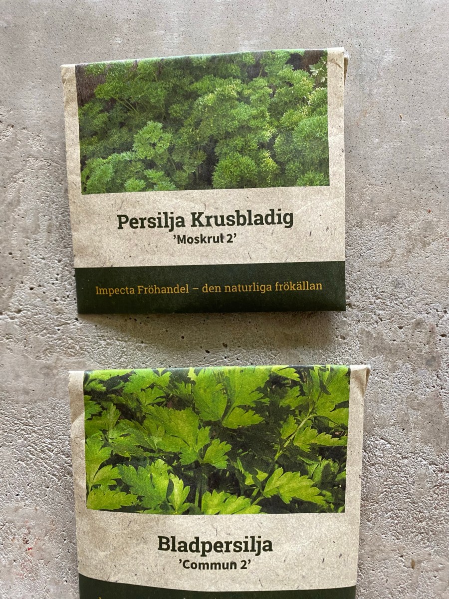 Parsley – Grounded gardens